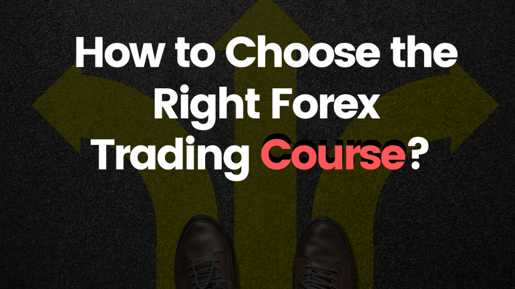 Best Forex Trading Course - 2025 Ultimate Guide for Traders