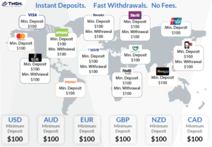TMGM Review (2026): Fees, Spreads & Platforms