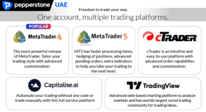 8 Best Forex Brokers In UAE [2023 Updated List]