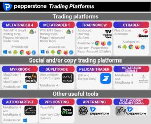 9 Best Forex Social Trading Platform List [2024 Fees]