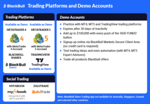 8 Best Demo Accounts For Forex Trading [2025 Update]